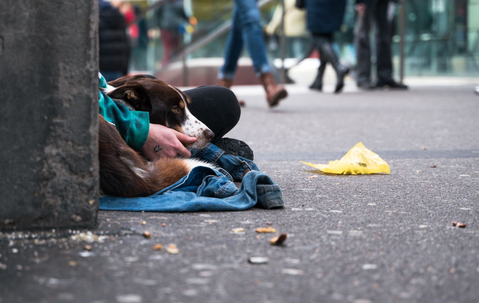 Gifts for the Homeless – jjohn.com
