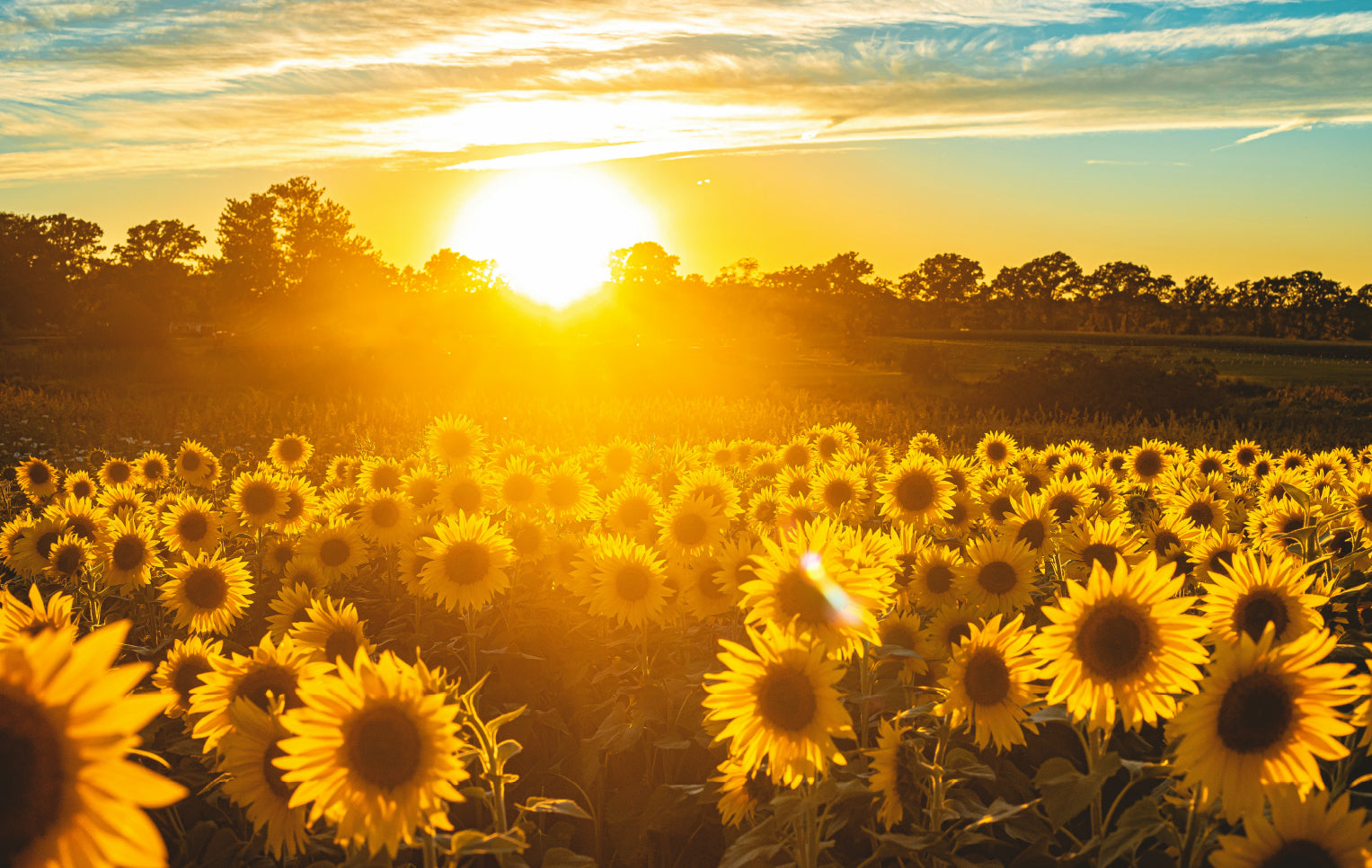 Summer – jjohn.com